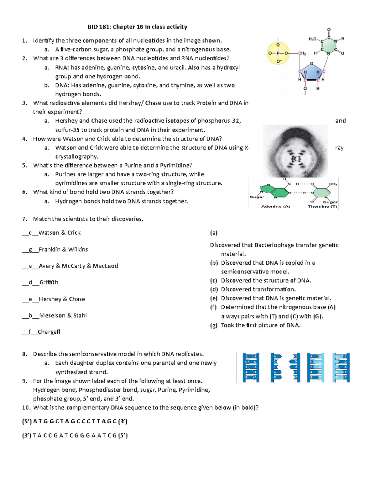 WEEK 12-HW- Chapter 16 - BIO 181: Chapter 16 In class activity Identify ...