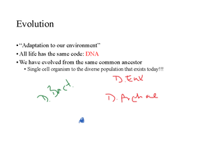 [Solved] explain Mechanisms of DNA replication transcription and - Bio ...