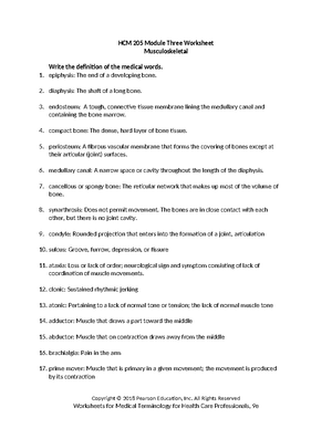 HCM 205 Module Seven Worksheet - HCM 205 Module Seven Worksheet ...