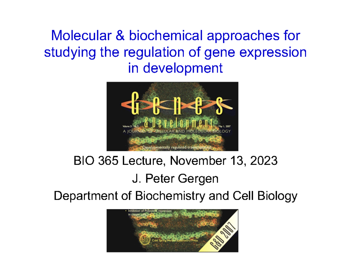 BIO 365 Gergen slides - notes - Molecular & biochemical approaches for ...