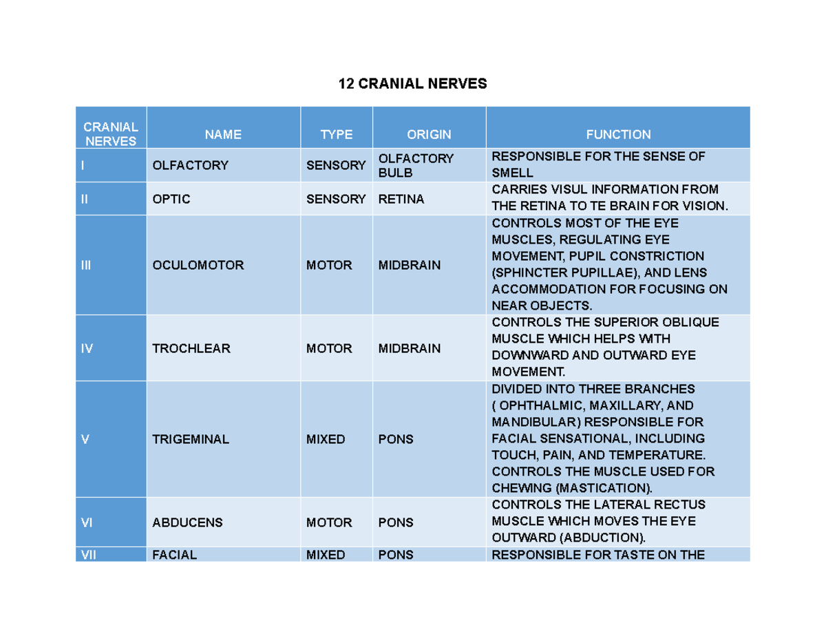 12-cranial-nerves - 12 CRANIAL NERVES CRANIAL NERVES NAME TYPE ORIGIN ...