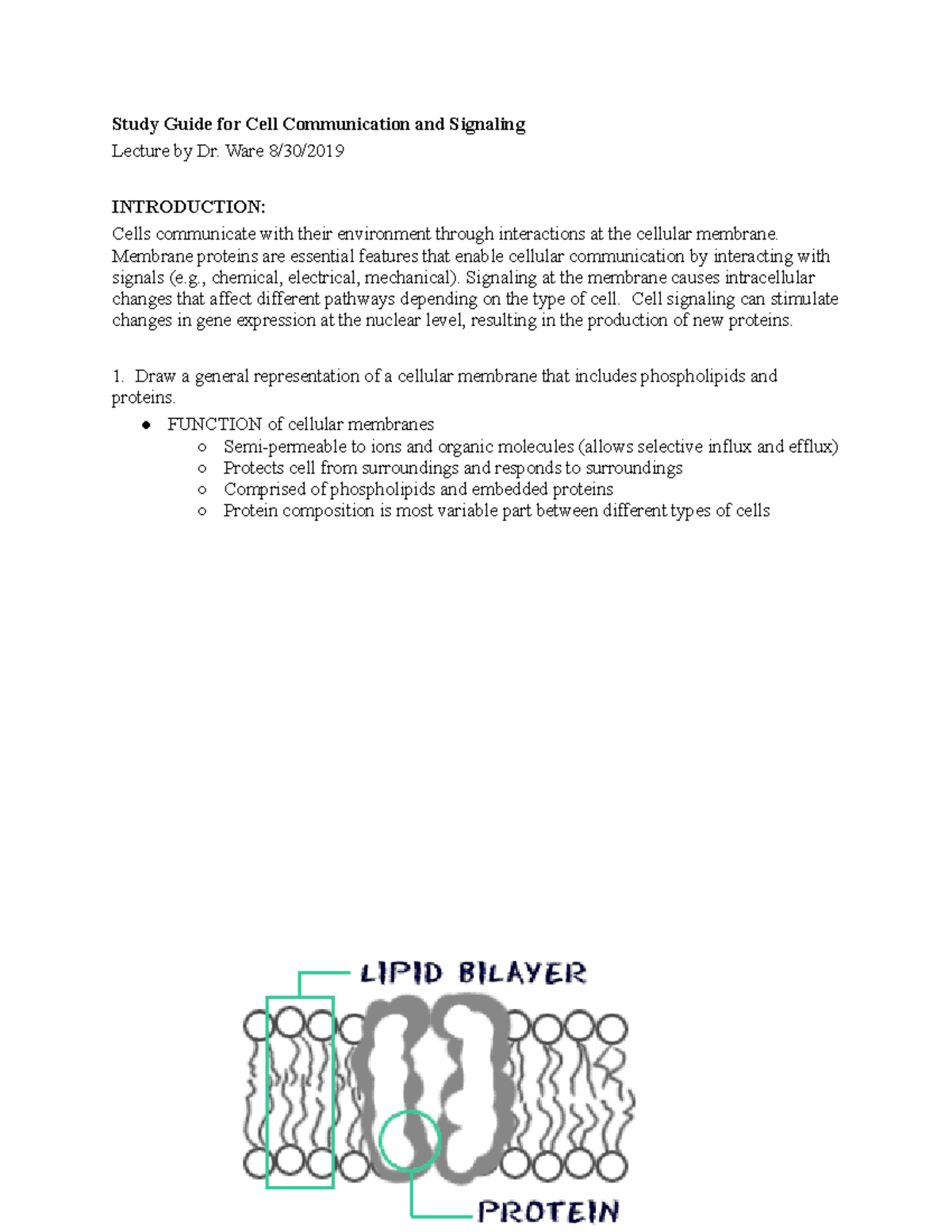 Cell Communication and Signaling - Study Guide for Cell Communication ...