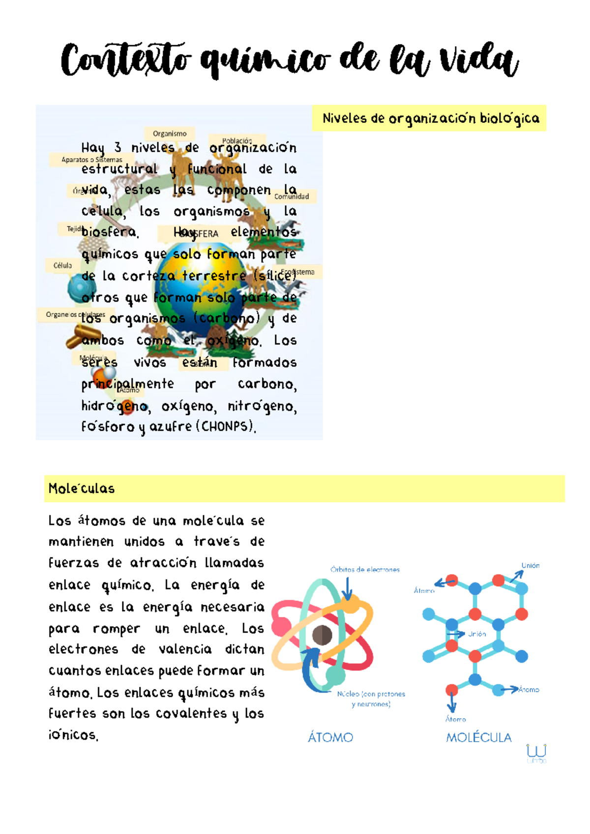 Contexto químico de la vida - Contexto químico de la vida Niveles de ...