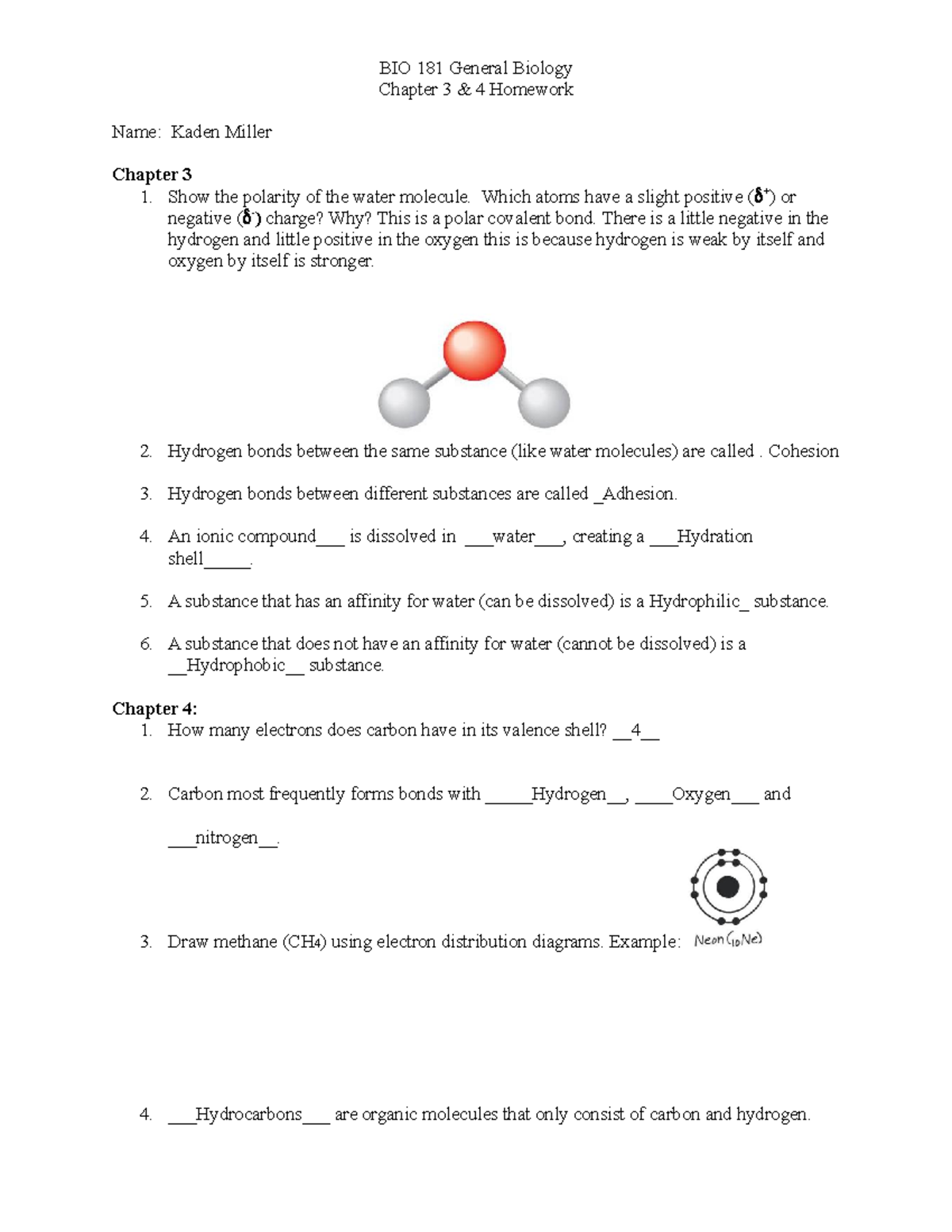 WEEK 2-HW Ch-3-4 - easy w - BIO 181 General Biology Chapter 3 & 4 ...