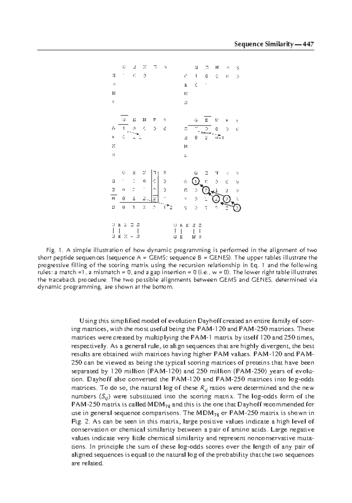Introduction To Bioinformatics 154 Sequence Similarity — 447 Using This Simplified Model Of