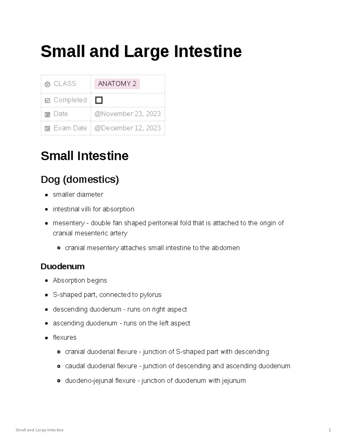 Small and Large Intestine - Small and Large Intestine CLASS ANATOMY 2 ...