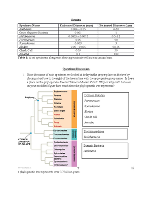 Test 2 Study Guide - Cell and Molecular Biology Test 2: Chapter 5 – 8 ...