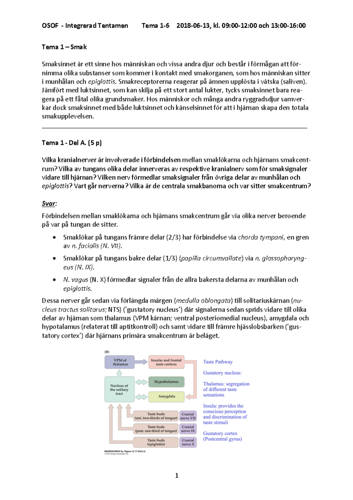 gamla tentor -osof - Warning: TT: undefined function: 32 Tema 1 – Smak ...