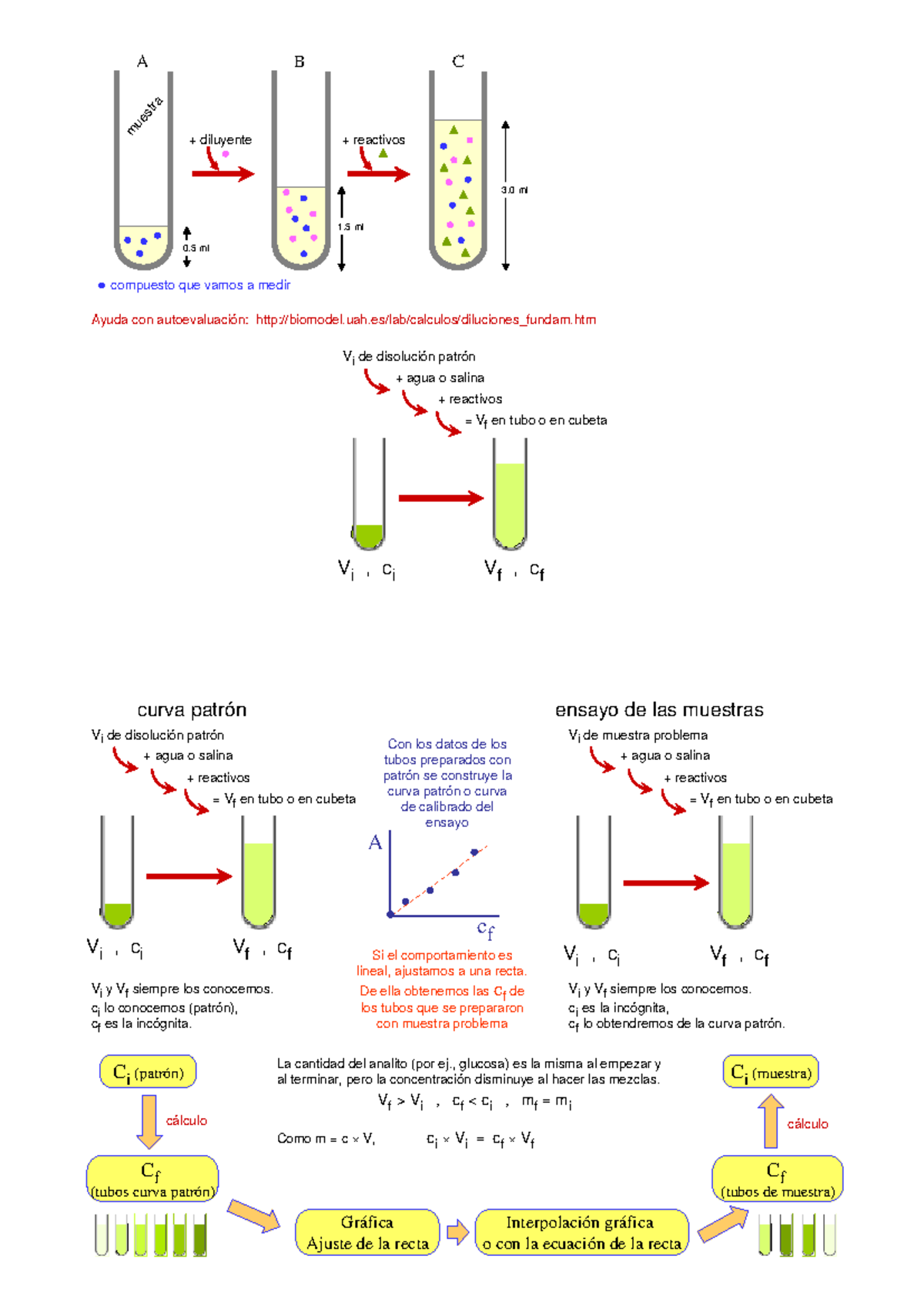 Calculos curva patron - Resumen Inglés - Básico II - Studocu