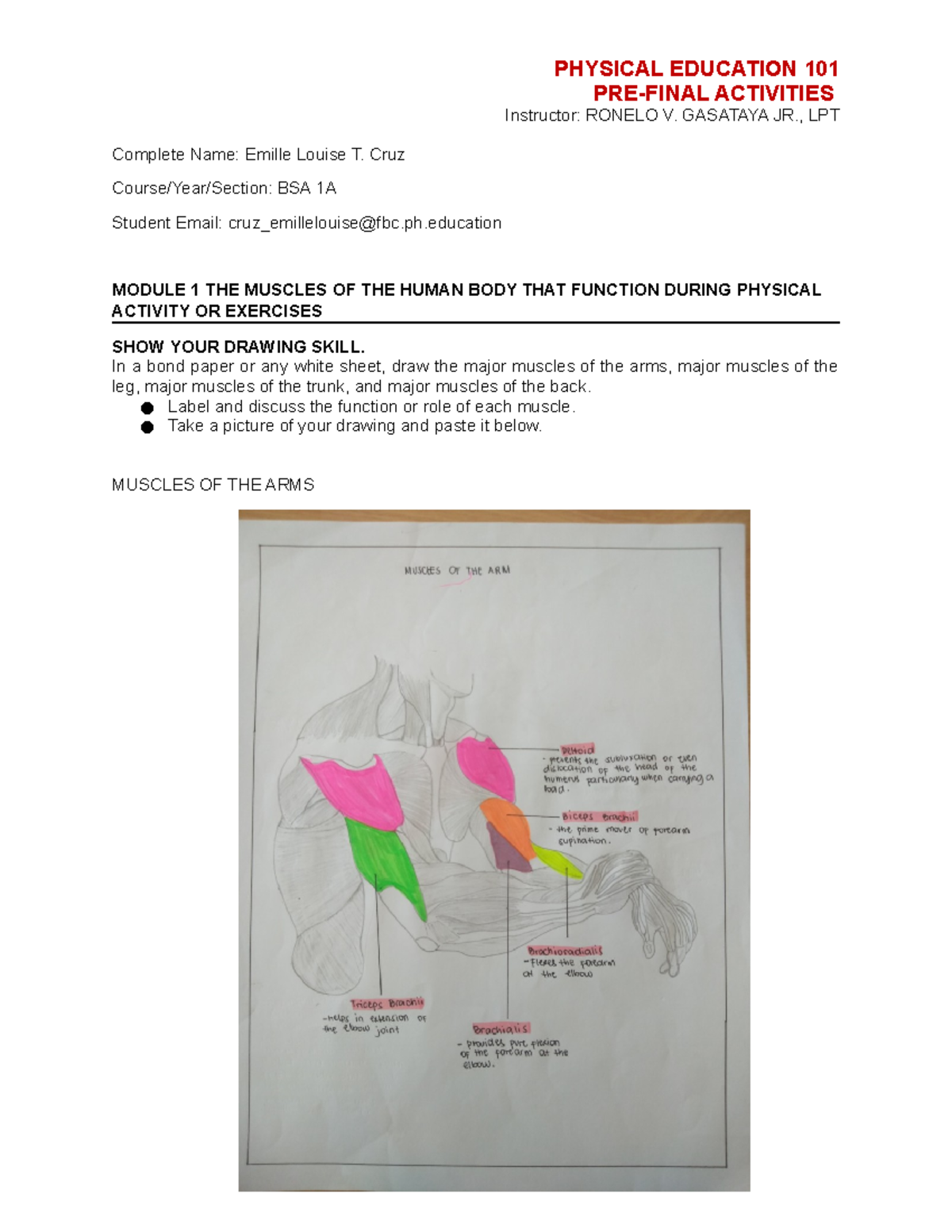 PE 101 Prefinal Activities - PHYSICAL EDUCATION 101 PRE-FINAL ...