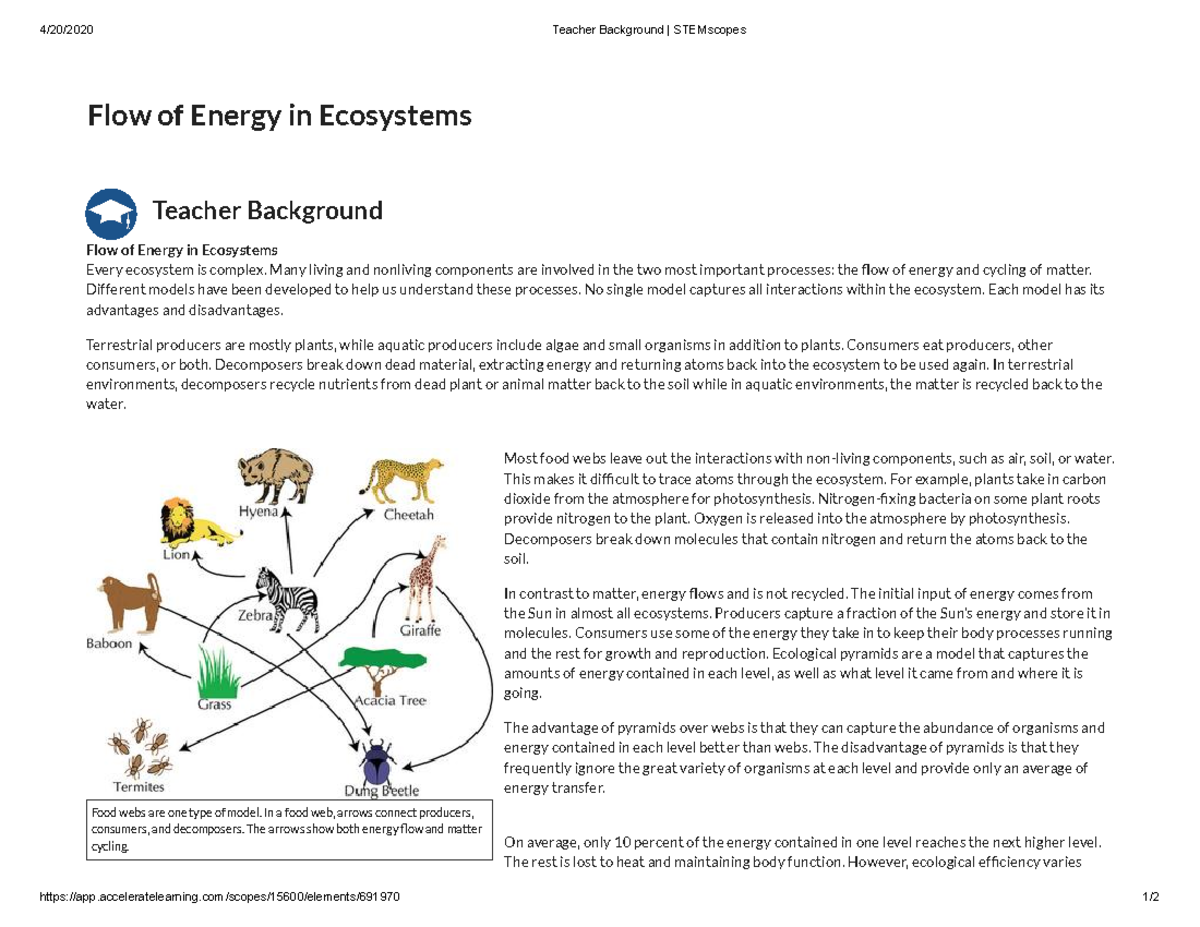 02 Flow of Energy in Ecosystems Text-merged - 4/20/2020 Teacher ...