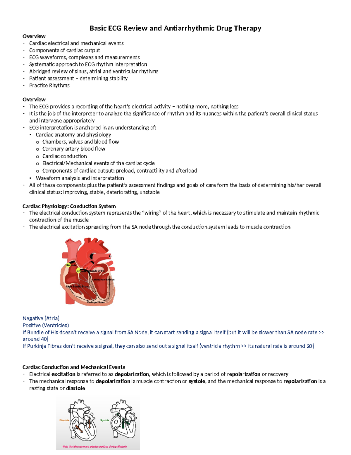 WK 4 Study Notes - Basic ECG Review and Antiarrhythmic Drug Therapy ...
