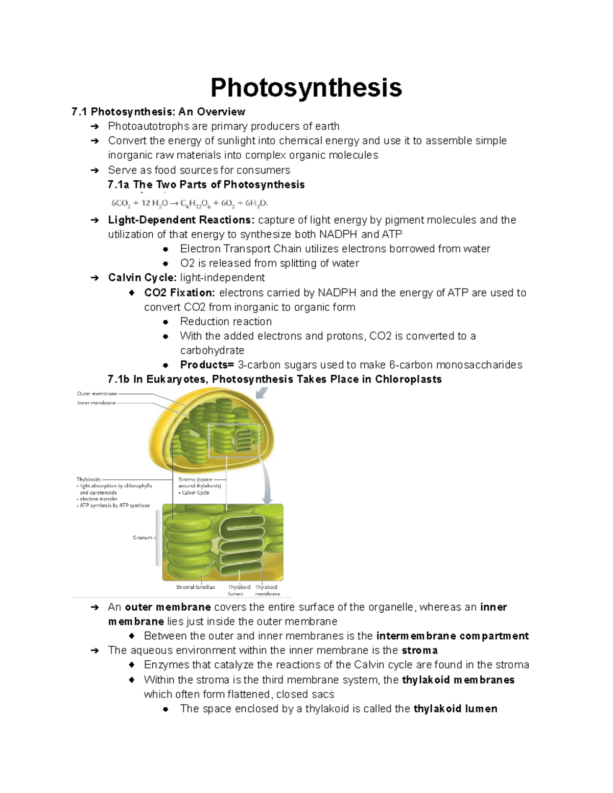 Unit 7 - unit 7 - Photosynthesis 7 Photosynthesis: An Overview ...