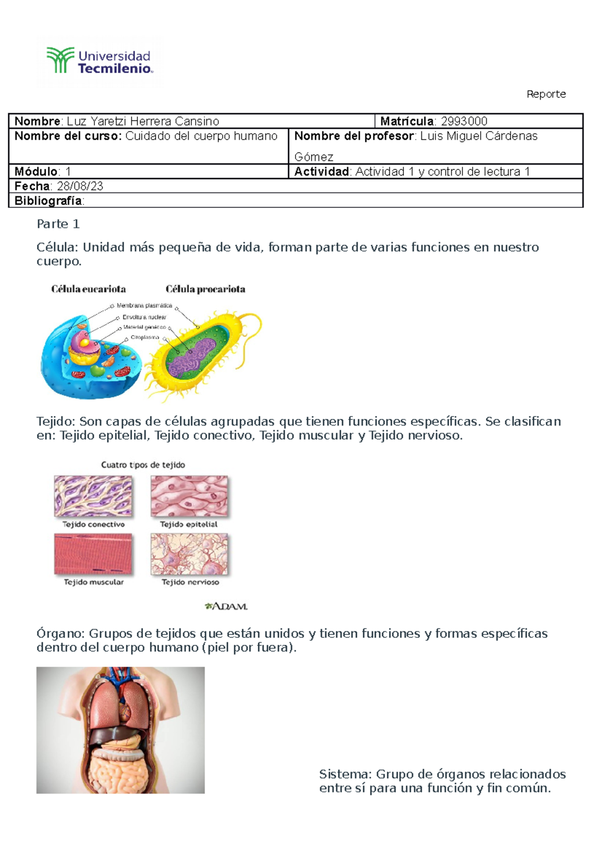 Act1 cuerpo humano - Actividad 1 - Nombre: Luz Yaretzi Herrera Cansino ...