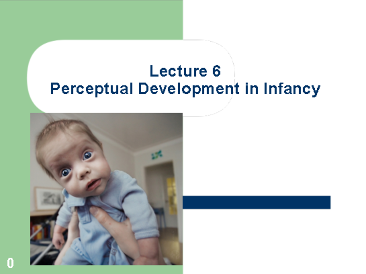 Lecture 6 Perceptual Dev Outline - ####### Lecture 6 ####### Perceptual ...