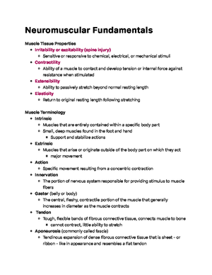 Foundations of Structural Kinesiology - F o u n d a t i o n s o f S t r ...