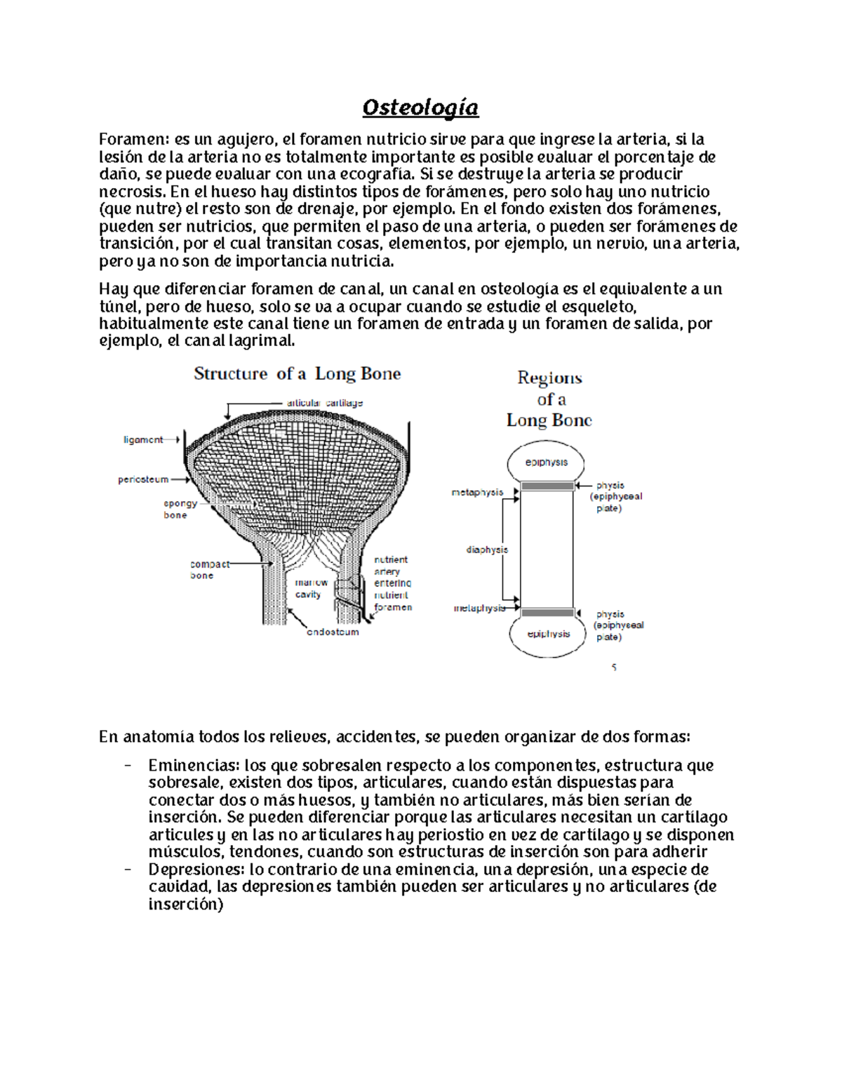 Anatomía clase 3 - Forámenes - Osteología Foramen: es un agujero, el ...