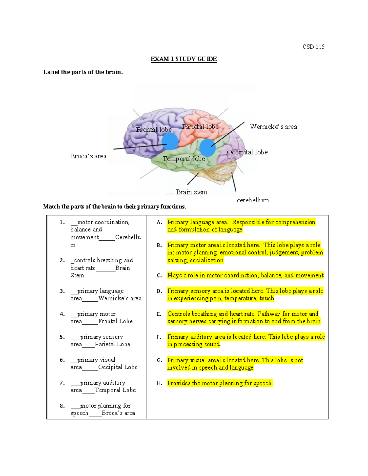 CSD Exam 1 study guide - CSD 115 EXAM 1 STUDY GUIDE Label the parts of ...