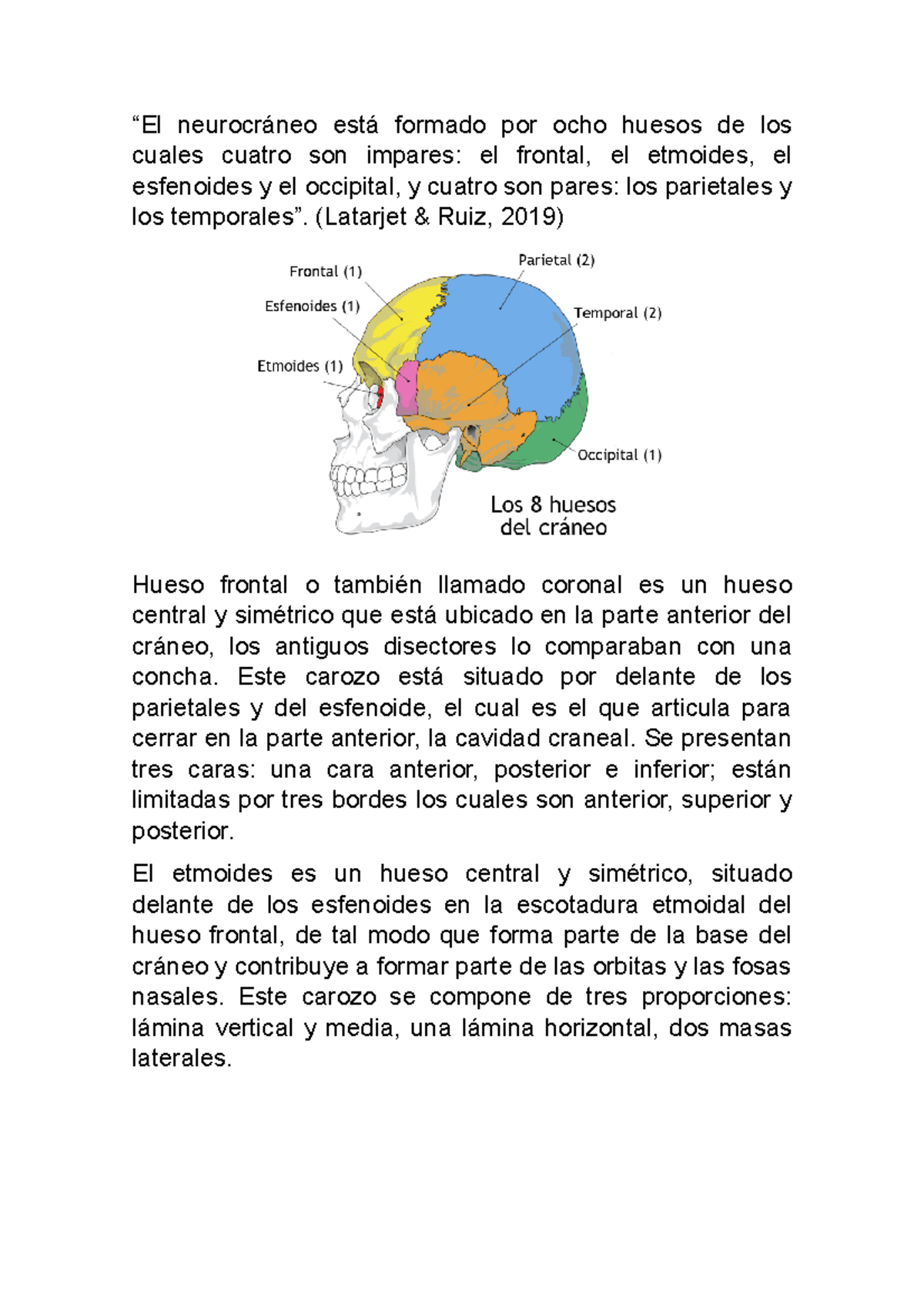 Neurocraneo DOCUMENTO - “El neurocráneo está formado por ocho huesos de ...