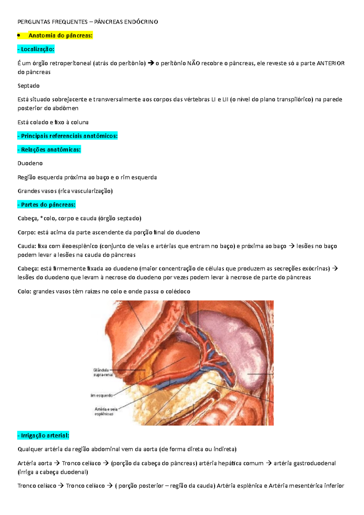 Resumo do pâncreas - PERGUNTAS FREQUENTES – PÂNCREAS ENDÓCRINO ...