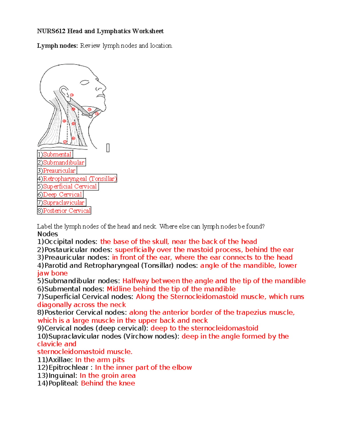 NURS612 Head and Lymphatics Worksheet - 1)Submental 2)Submandibular 3 ...