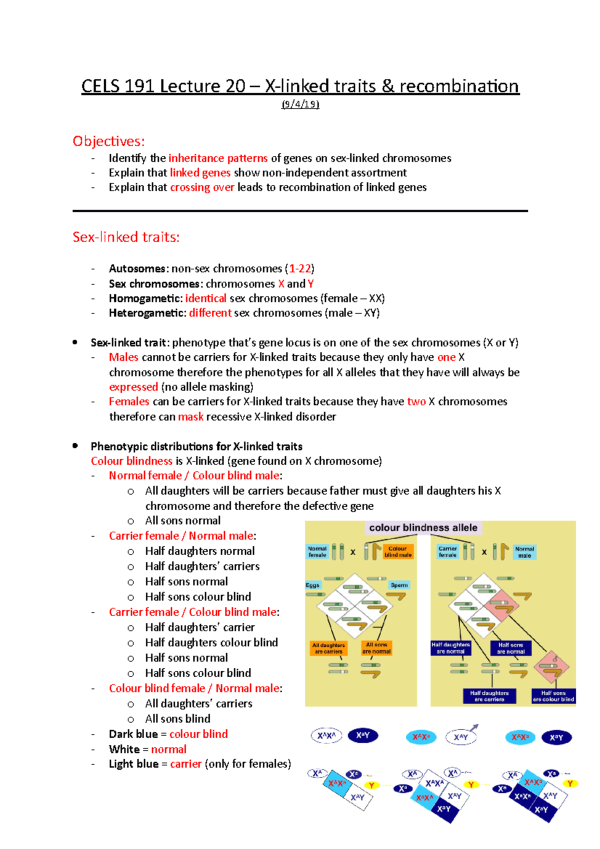 CELS 191 Lecture 20 - CELS 191 Lecture 20 – X-linked traits & recombination (9/4/19) Objectives ...