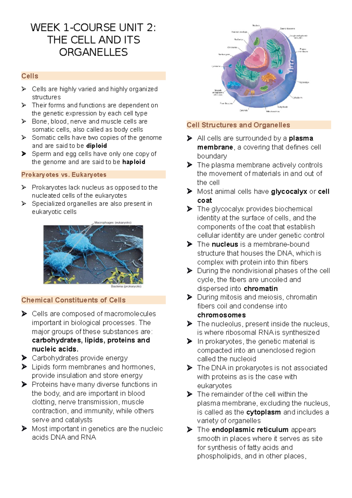 The cell and Its organelles - WEEK 1-COURSE UNIT 2: THE CELL AND ITS ...