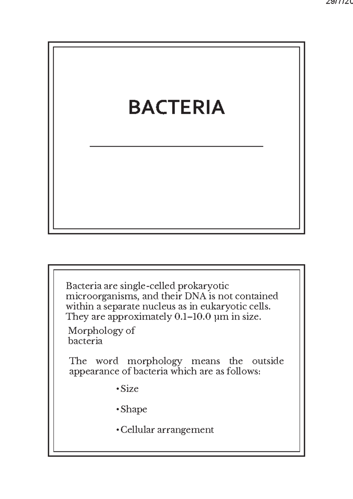 Bacteria lecture - - Studocu