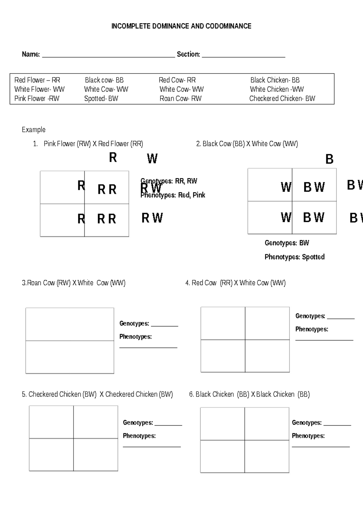 Incomplete Dominance AND Codominance - INCOMPLETE DOMINANCE AND ...
