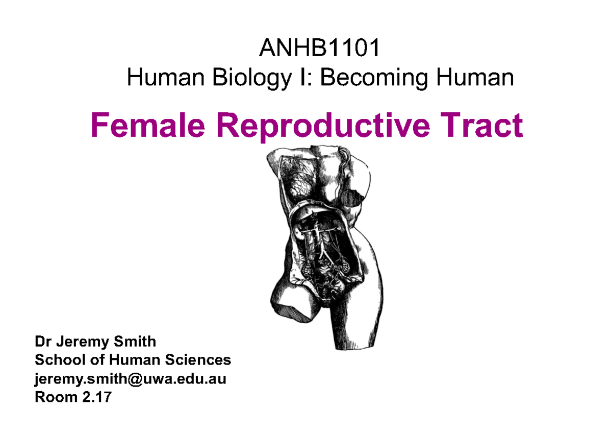 Lecture 2. Female reproductive tract - Female Reproductive Tract ANHB ...