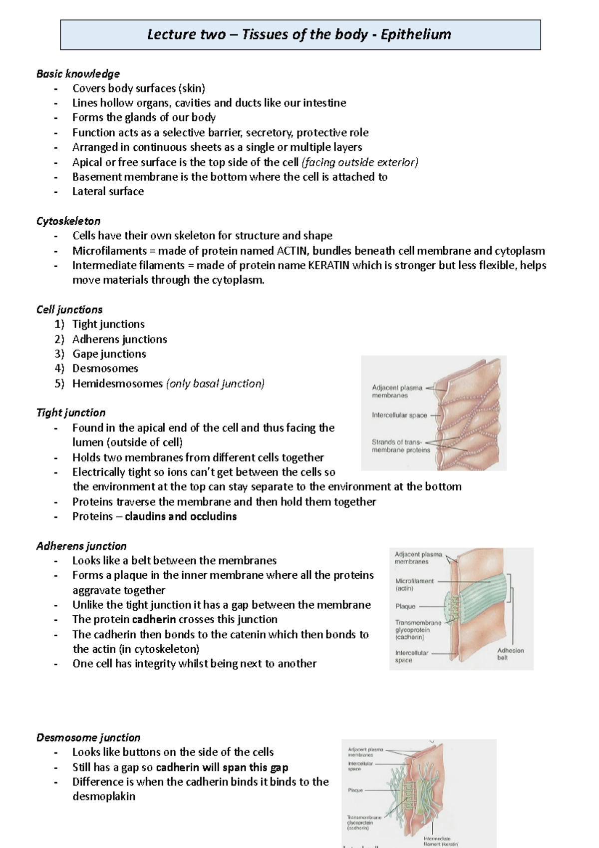 Lecture two - tissues of the body - Basic knowledge - Covers body ...