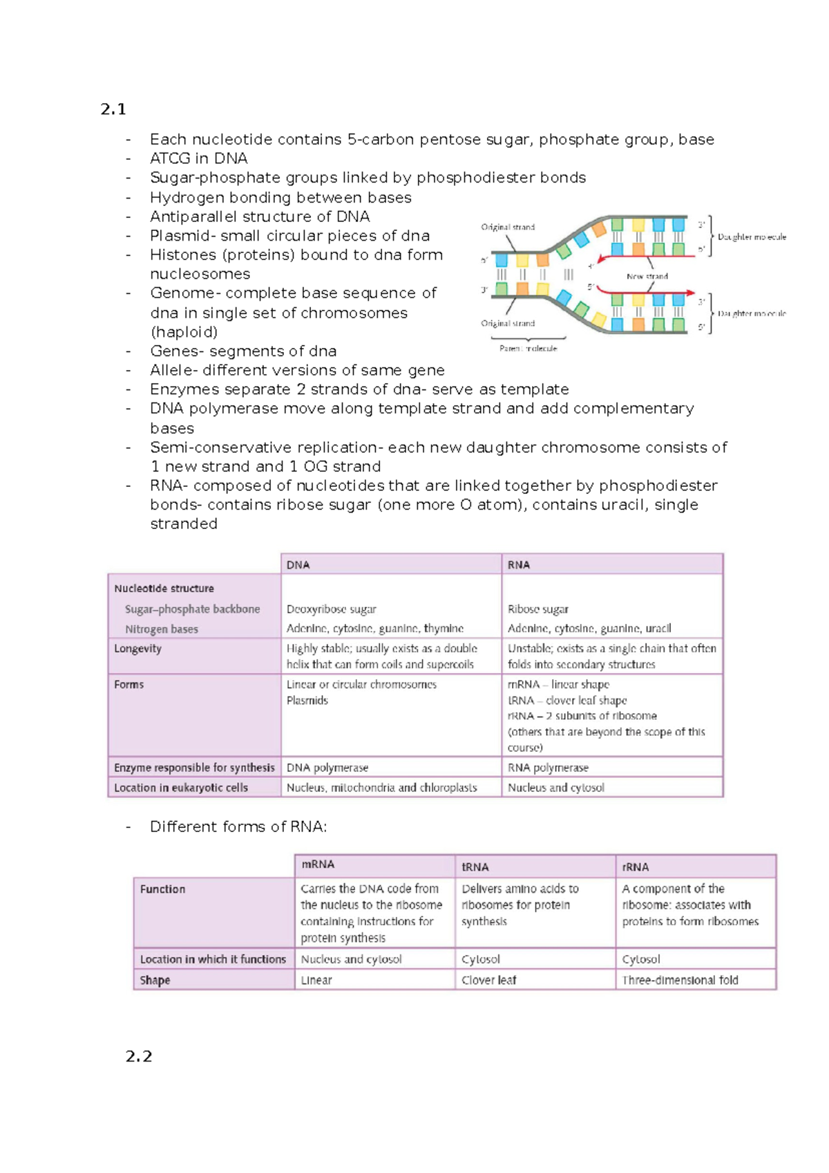 Summary - notes - 2. Each nucleotide contains 5-carbon pentose sugar ...