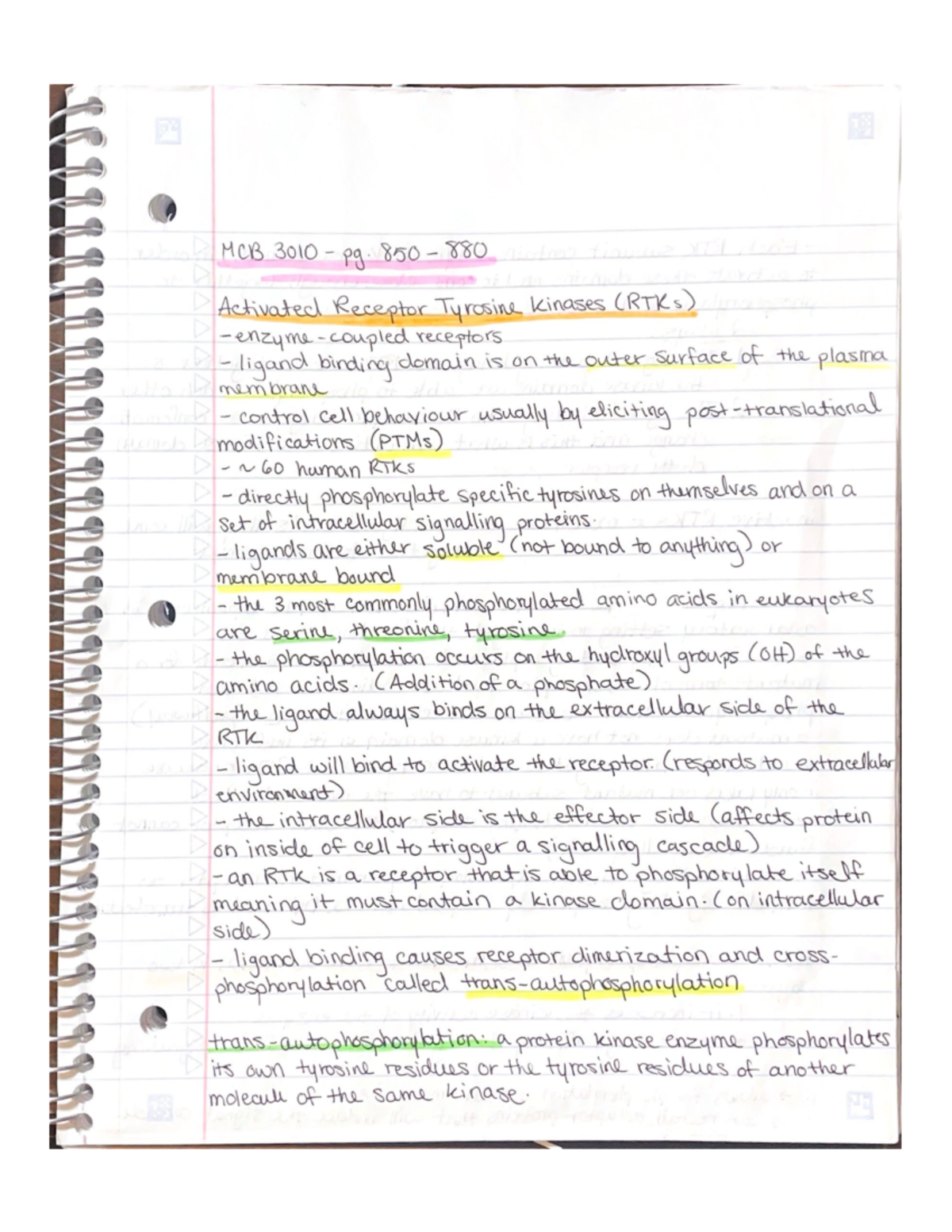 Lecture 1 -RTKs - Handwritten notes - MCB*3010 - Studocu