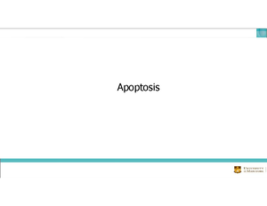 Chapter 7 - Summery of DNA Structure - THE GENETIC (Hereditary ...