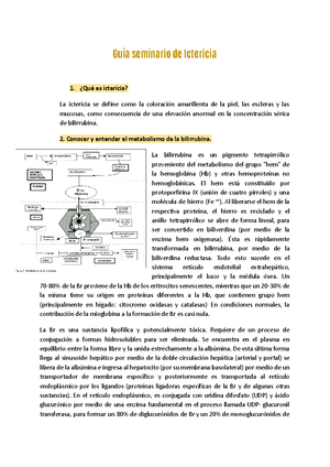 Semio video - Información sobre los signos de apendicitis aguda ...