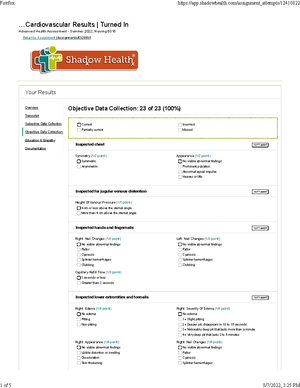 Comprehensive Assessment Documentation - .. Assessment Results | Turned ...
