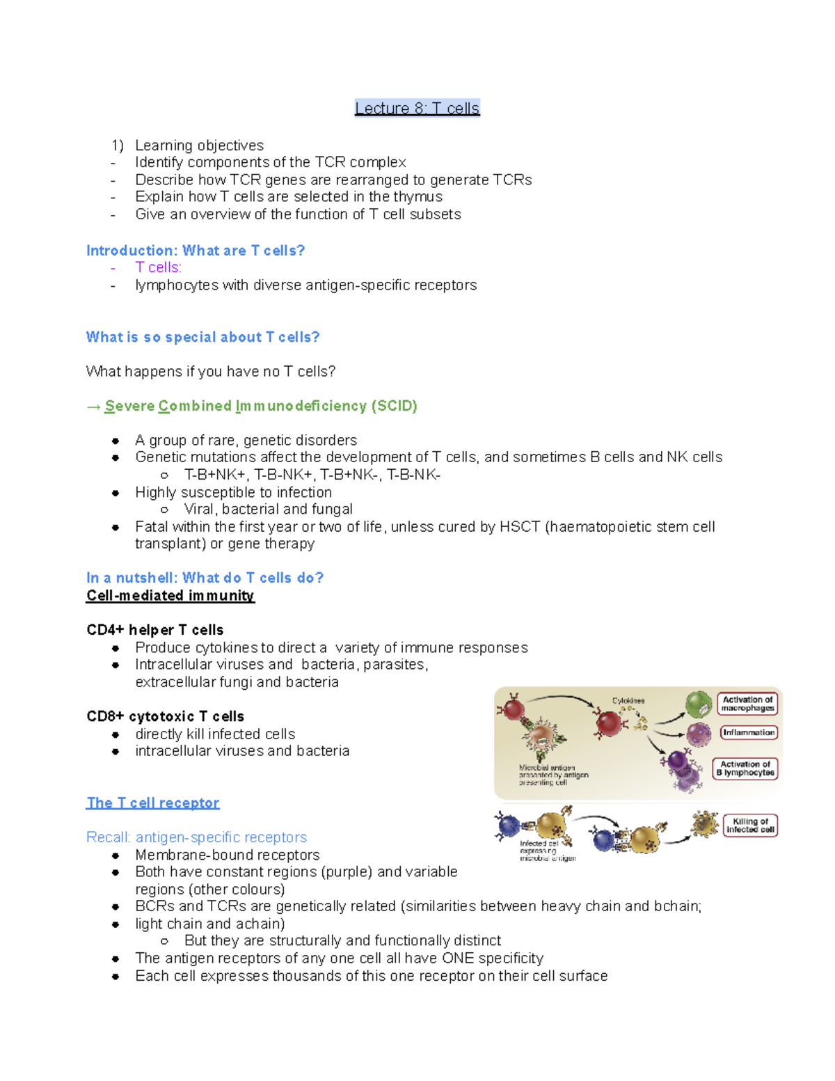 Lecture 8 13 Immu Notes Lecture 8 T Cells Learning Objectives