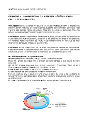 Acides aminé - Fiche résumé - Groupement latéral aliphatique ...