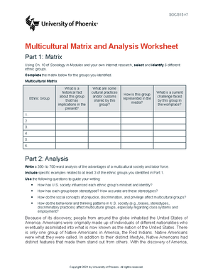 Soc315 v7 wk3 multicultural matrix and analysis worksheet - SOC/315 v Multicultural Matrix and ...