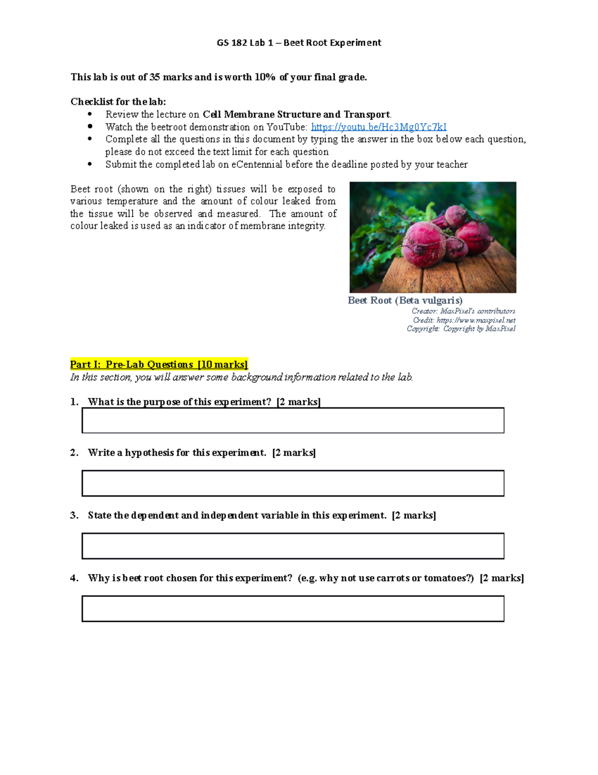 Beet Root Lab - jmn - This lab is out of 35 marks and is worth 10% of your final grade ...