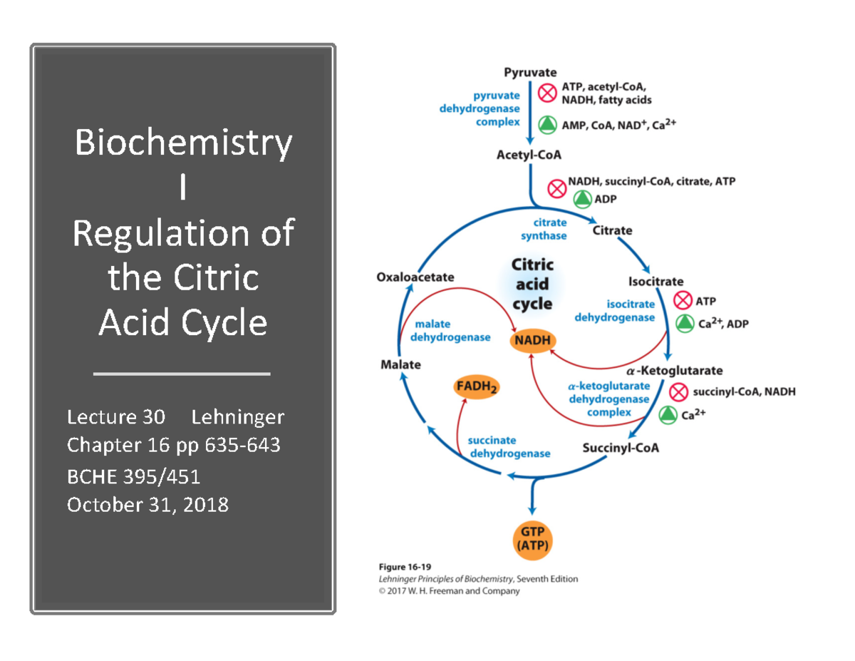 Regulation of CAC - Biochemistry I Regulation of the Citric Acid Cycle ...