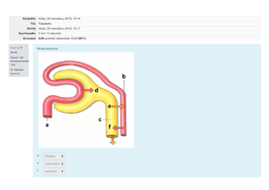 [Solved] Mitk ovat nefronin verenkierron osat ja miten verenpaine ...