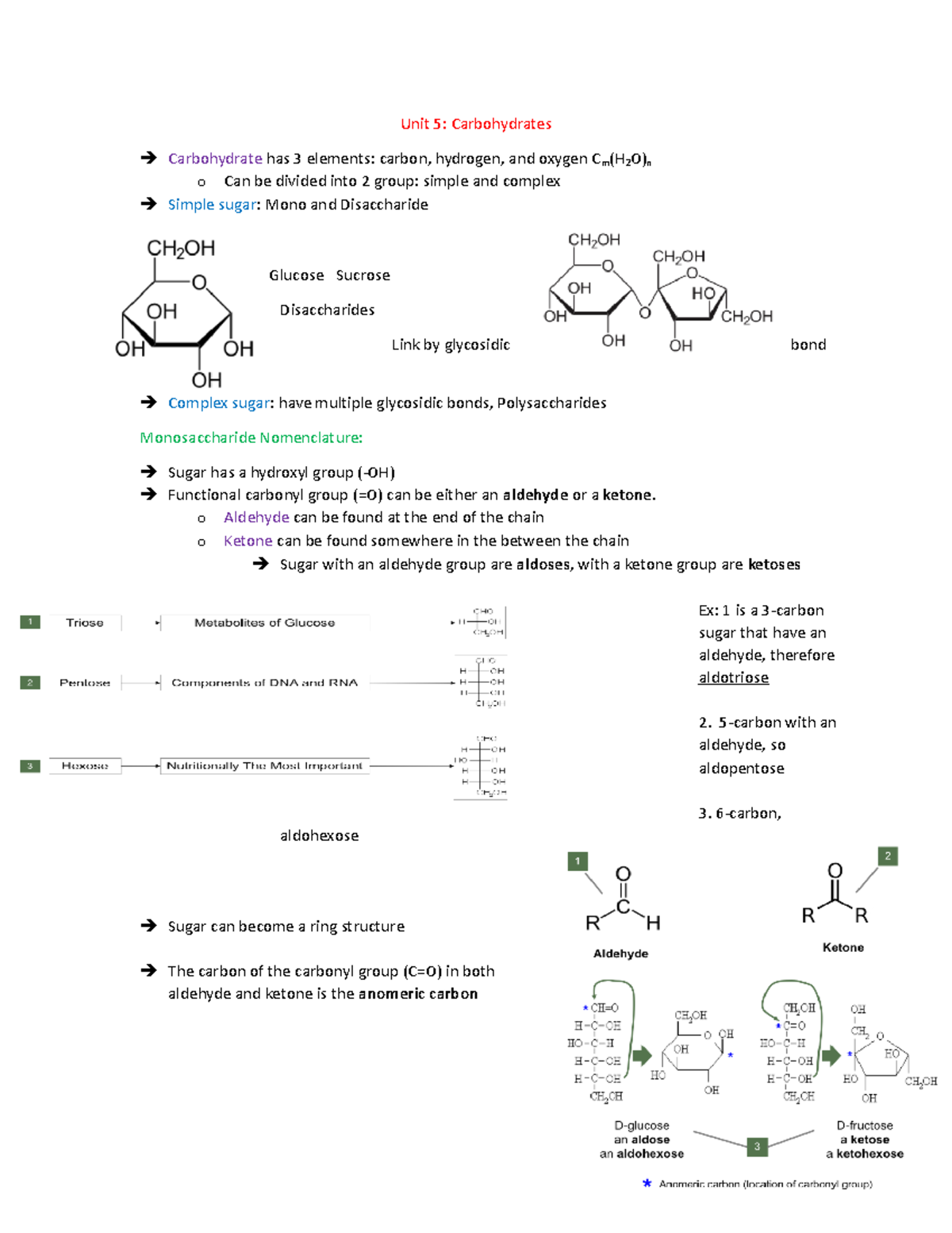 Unit 5 - Carbohydrates - From lecture - Unit 5: Carbohydrates ...