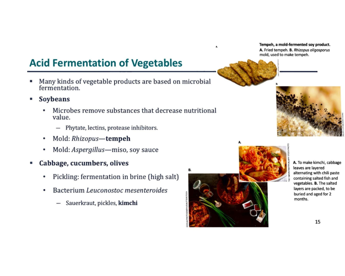 Chapter 16 microbiology - Acid Fermentation of Vegetables - Many kinds ...