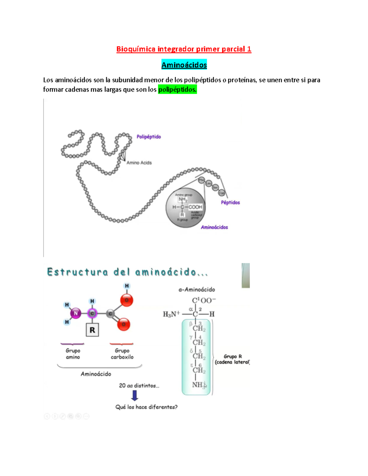 Bioquimica apunte parcial 1 - Bioquímica integrador primer parcial 1 ...
