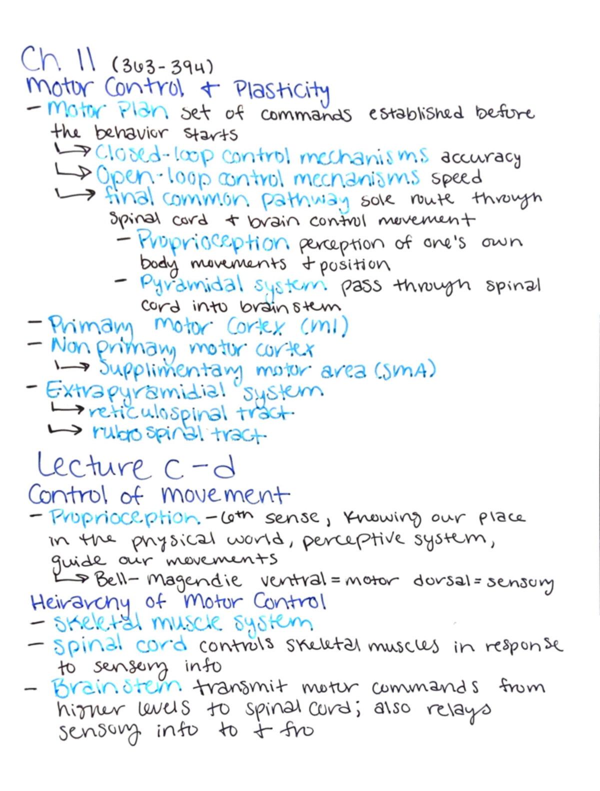 Week 9b Lecture And Assigned Reading Notes Cord Into Brainstem Ch