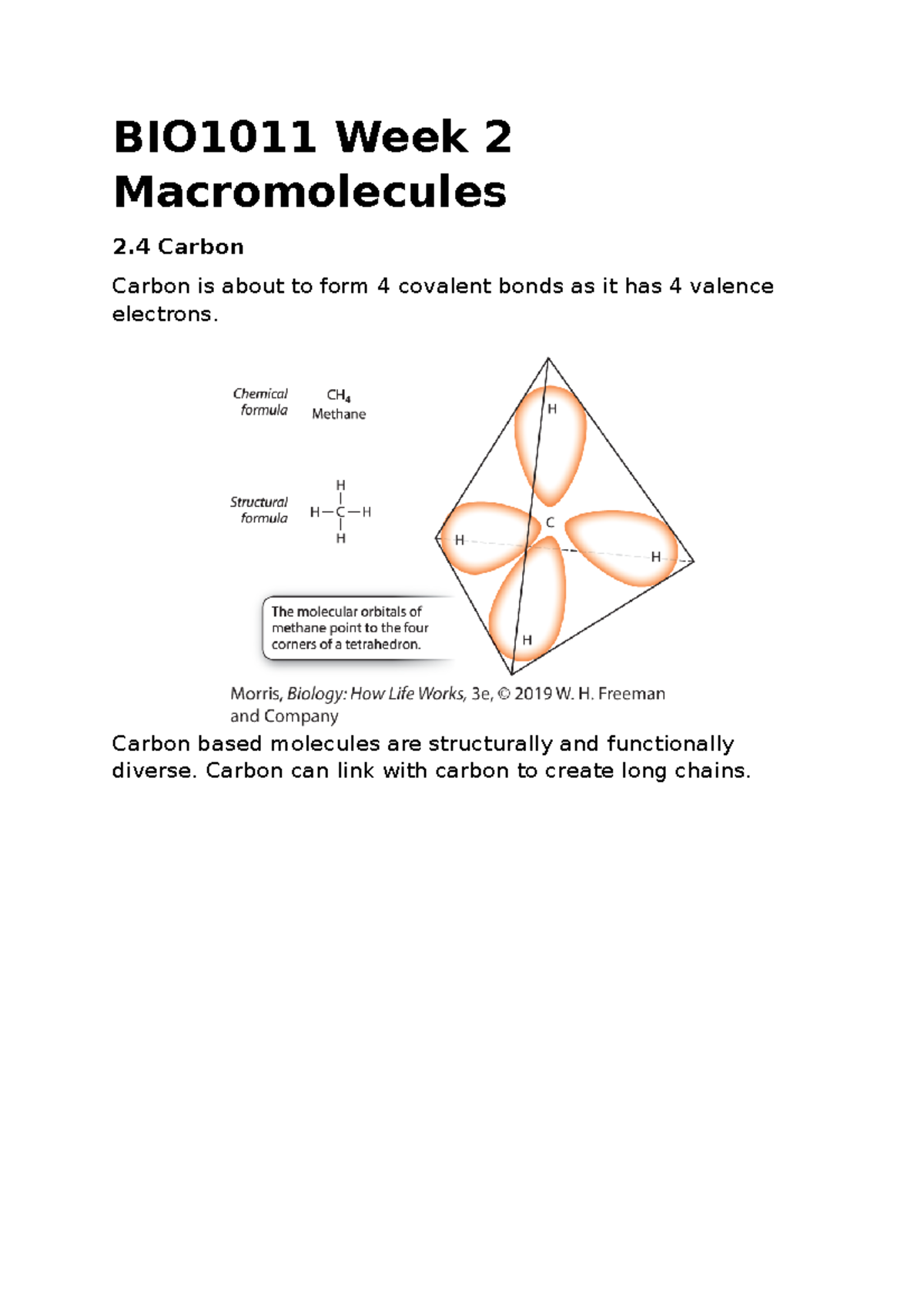 BIO1011 Week 2 Macromolecules - Carbon based molecules are structurally ...