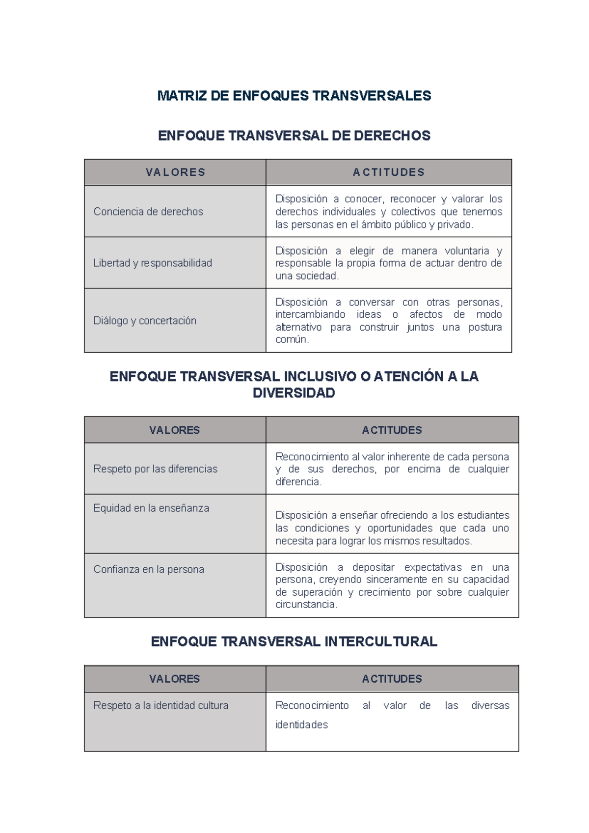 Matriz DE Enfoques Transversales - MATRIZ DE ENFOQUES TRANSVERSALES ...