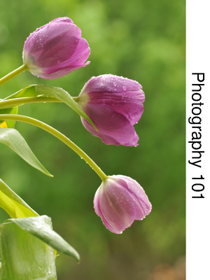 English-Video-Handbook - PRODUCTION VIDEO PRODUC T I O N H A N D B O O ...