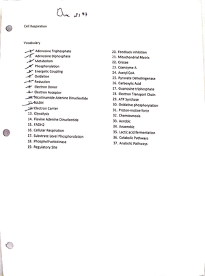 Gizmos Enzymes AP STEM Case and Handbook - Student Guide: Enzymes - AP ...